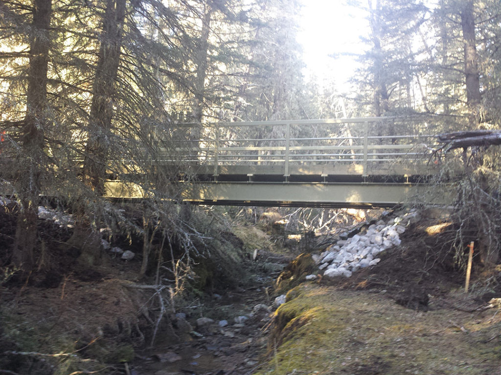 Fullerton Loop Trail Bridge